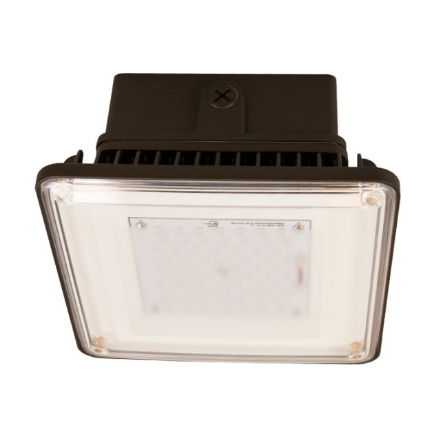 Lyra OUS – Canopy LED Downlight – NICOR Lighting